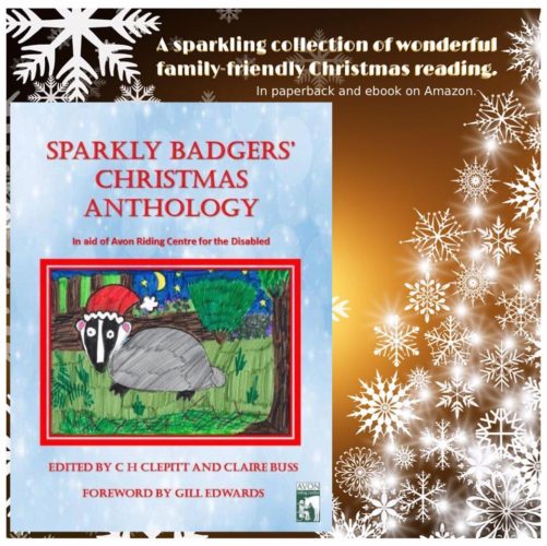 Get your copy of Sparkly Badgers Christmas Stories! – Law School Heretic